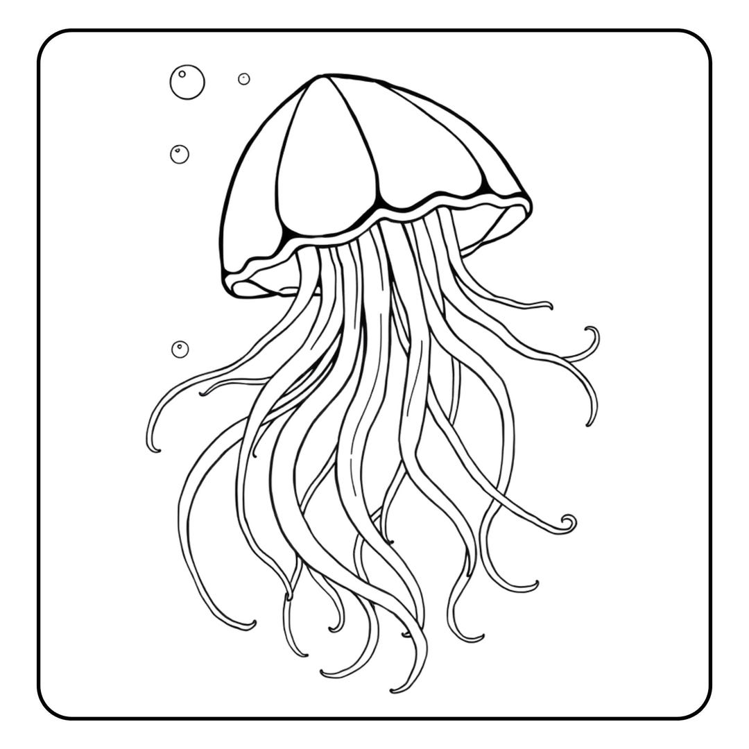 Spark Your Imagination: an Under the Sea Marine Life Coloring Book ...