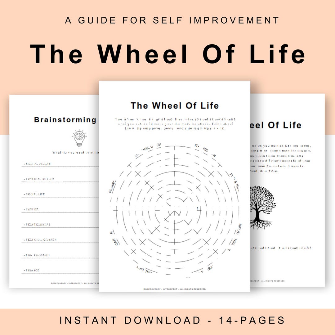 Wheel of Life Workbook, Goal Setting & Life Direction Guide, Personal ...