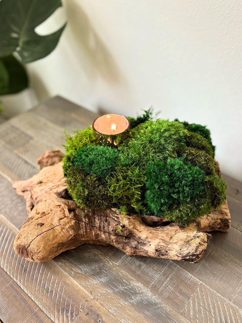 Handmade Preserved Moss Centerpiece | Wellness Gift for Meditation ...