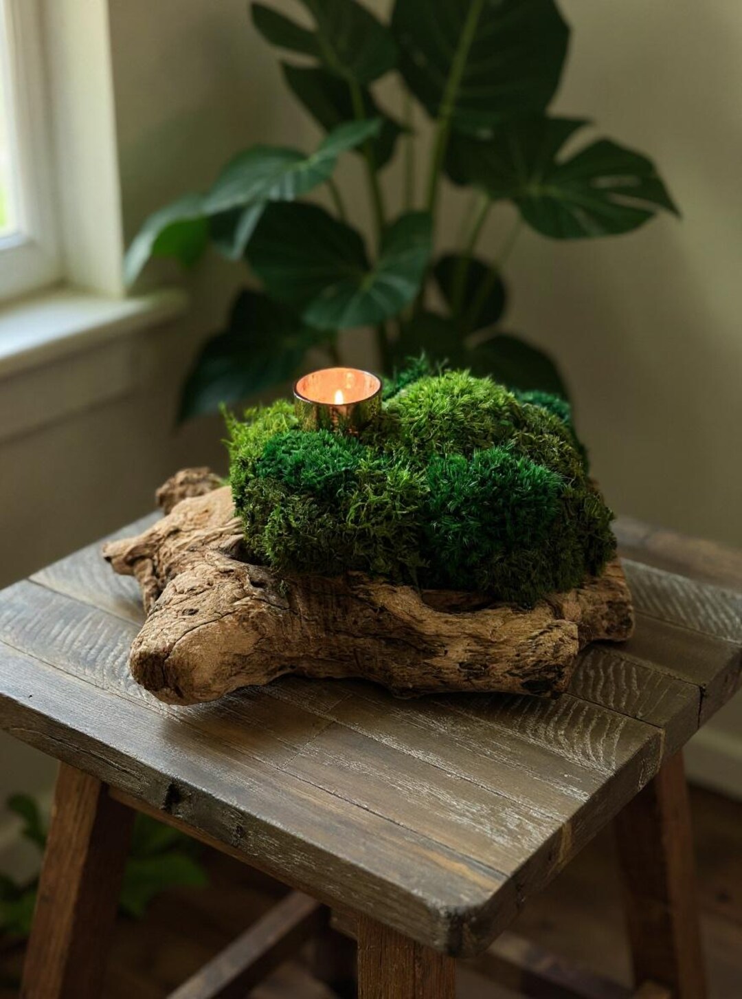 Handmade Preserved Moss Centerpiece | Wellness Gift for Meditation ...