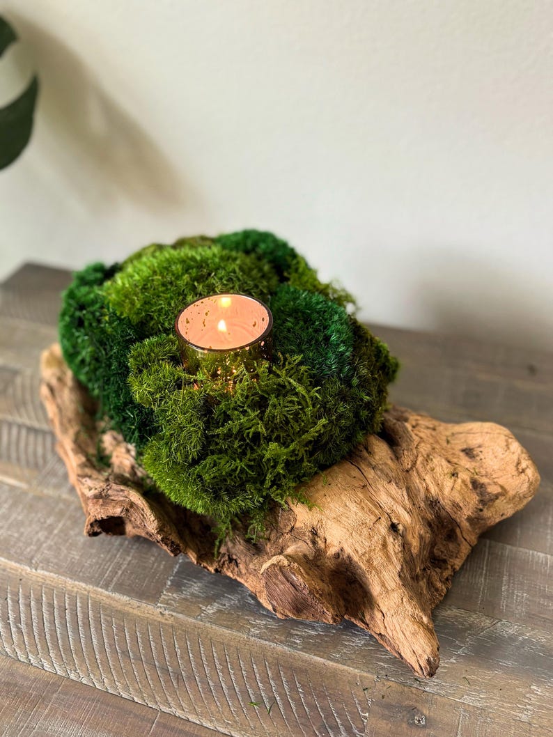 Handmade Preserved Moss Centerpiece | Wellness Gift for Meditation ...