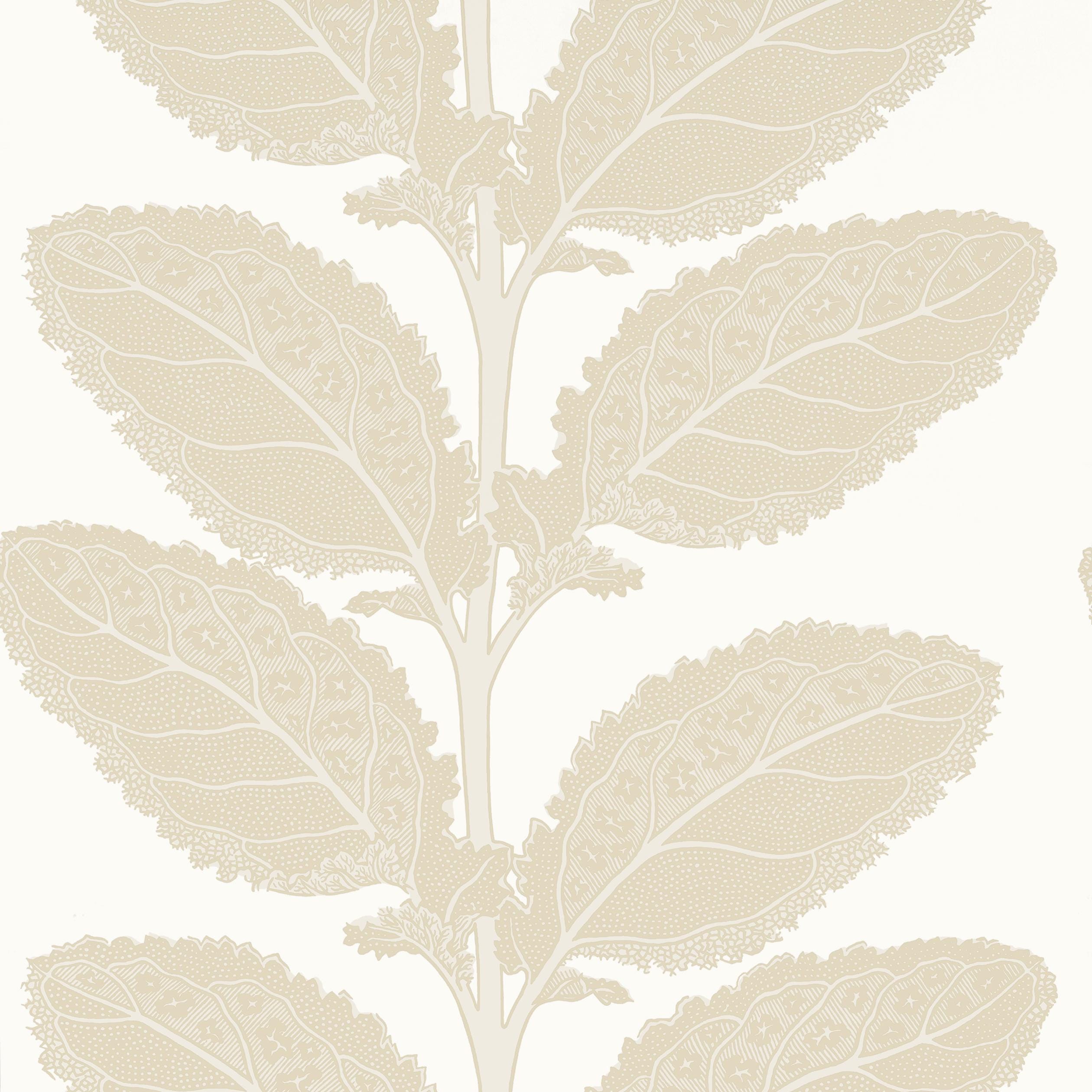 Thibaut LACINATO Wallpaper, Designer Wallpaper, Contemporary Wallpaper ...