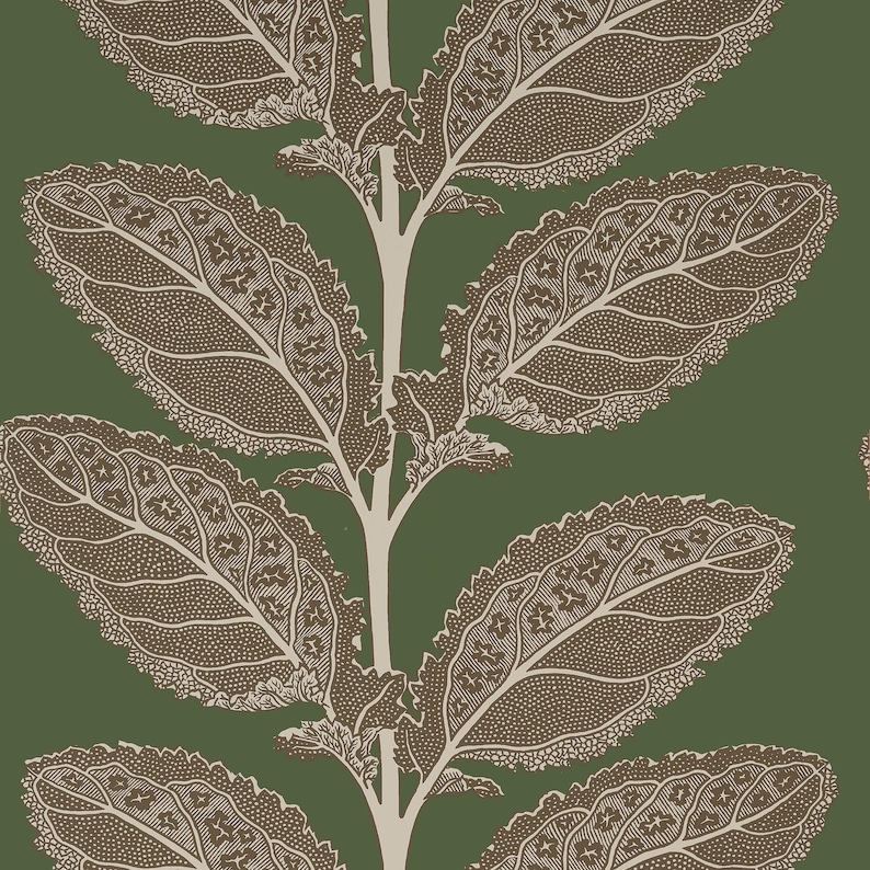 Thibaut LACINATO Wallpaper, Designer Wallpaper, Contemporary Wallpaper ...