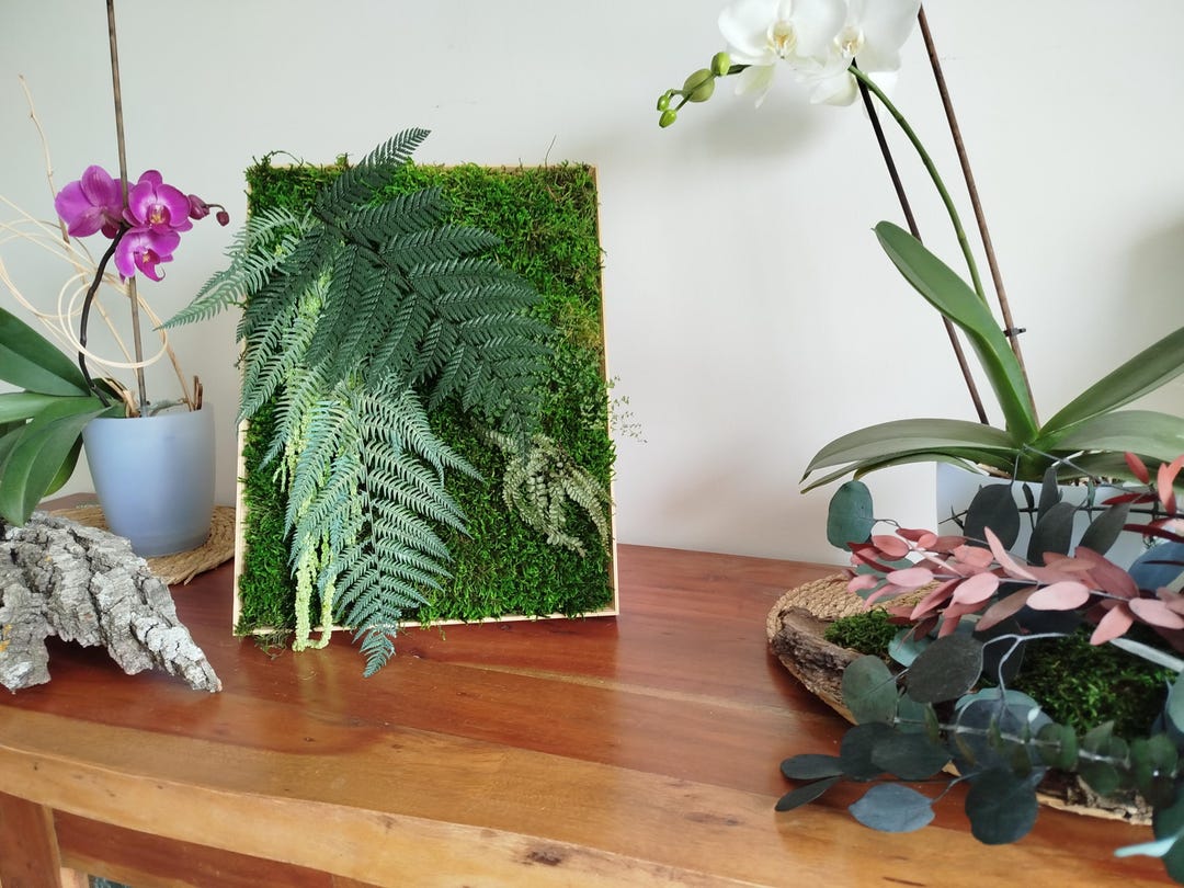 Stabilized Plant Frame 30x40: Maintenance-free Natural Wall Decoration ...