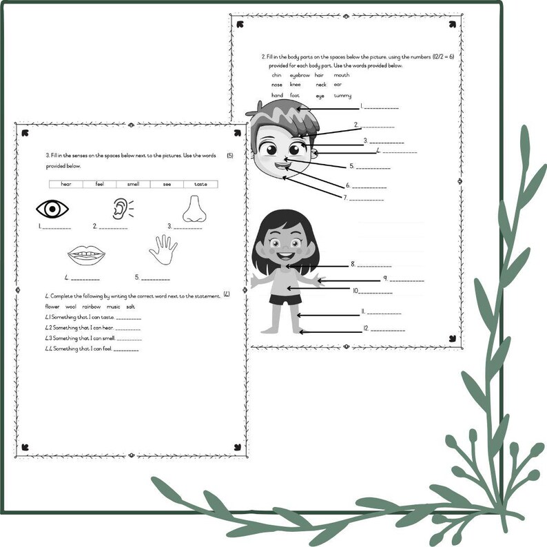 Grade 1 Term 2 Life Skills Assessment With Memo - Etsy