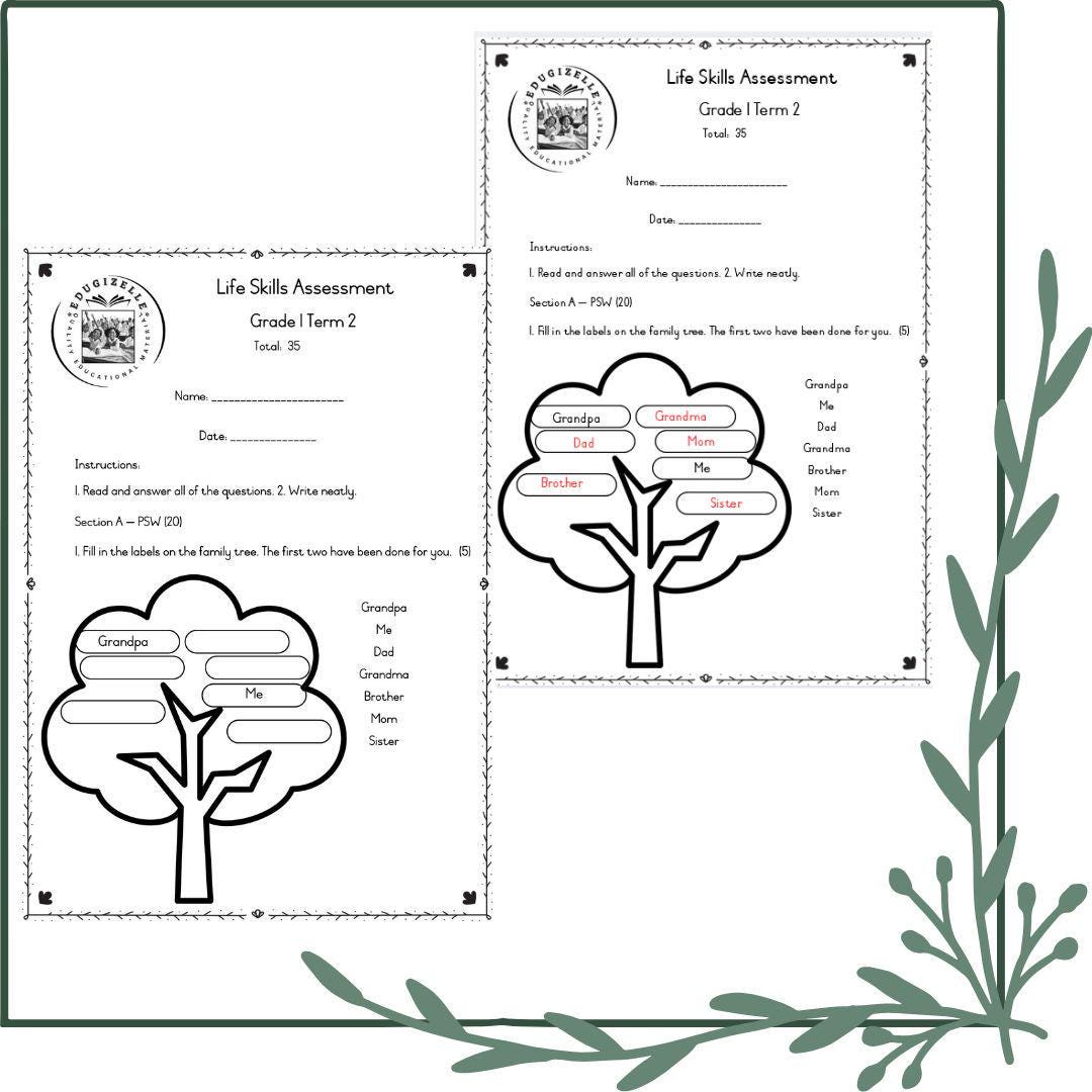 Grade 1 Term 2 Life Skills Assessment With Memo - Etsy