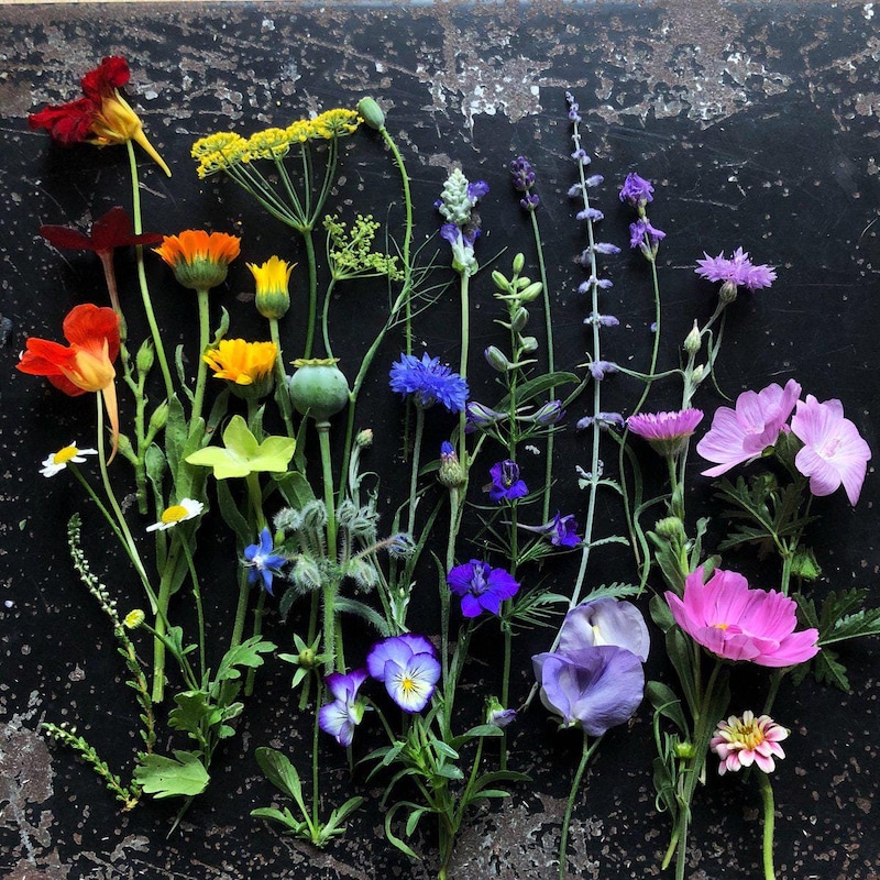 2026 Diaries and Calendars - Etsy UK