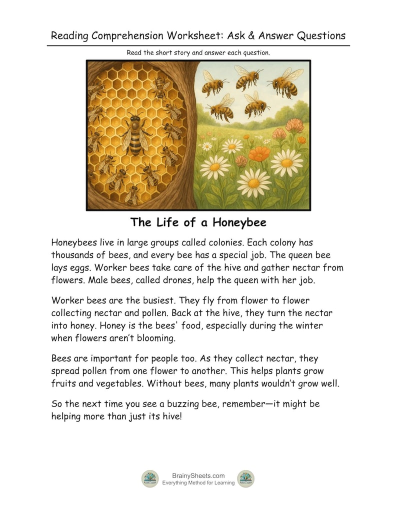 3rd Grade Nonfiction Reading Passages With Quizzes (printable PDF - Etsy