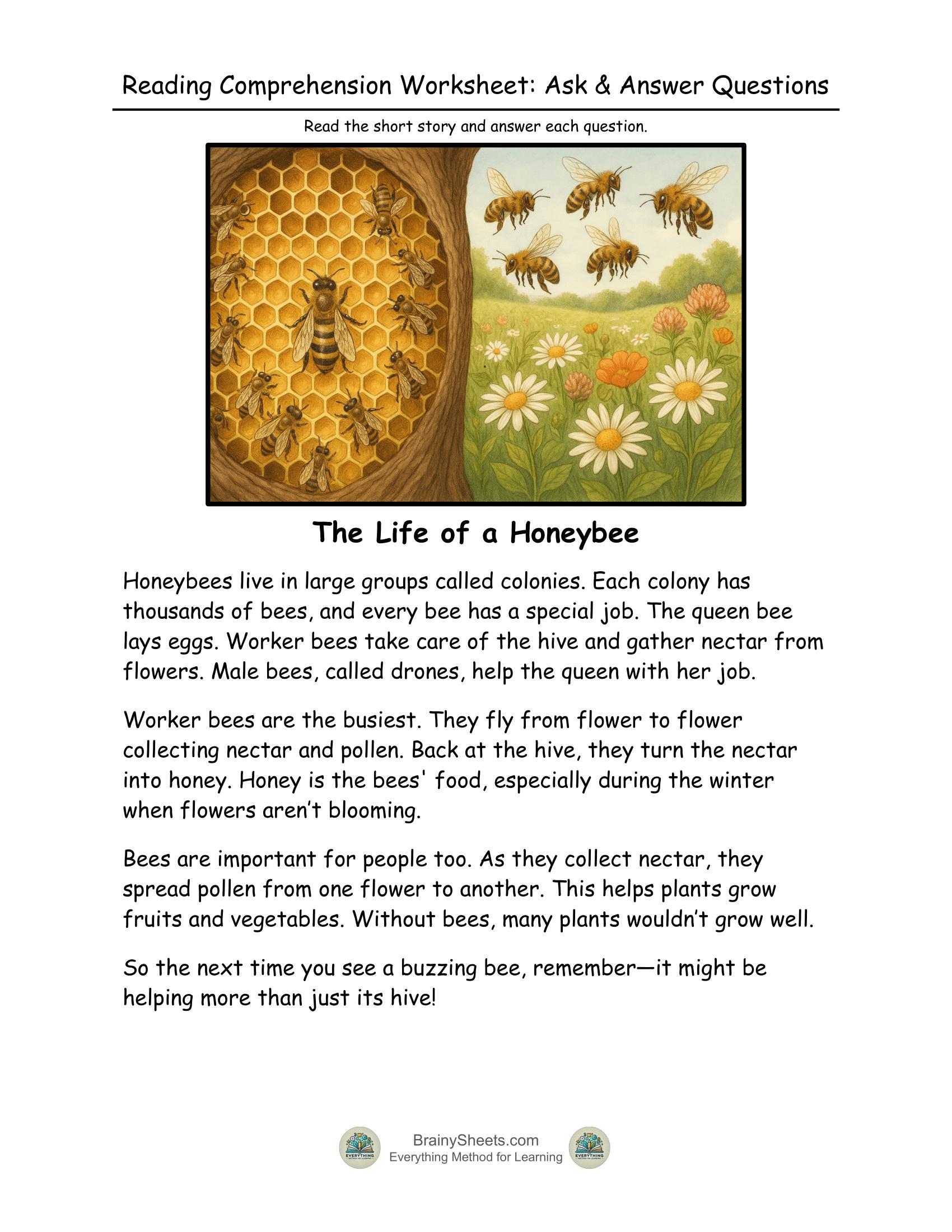 3rd Grade Nonfiction Reading Passages With Quizzes (printable PDF - Etsy
