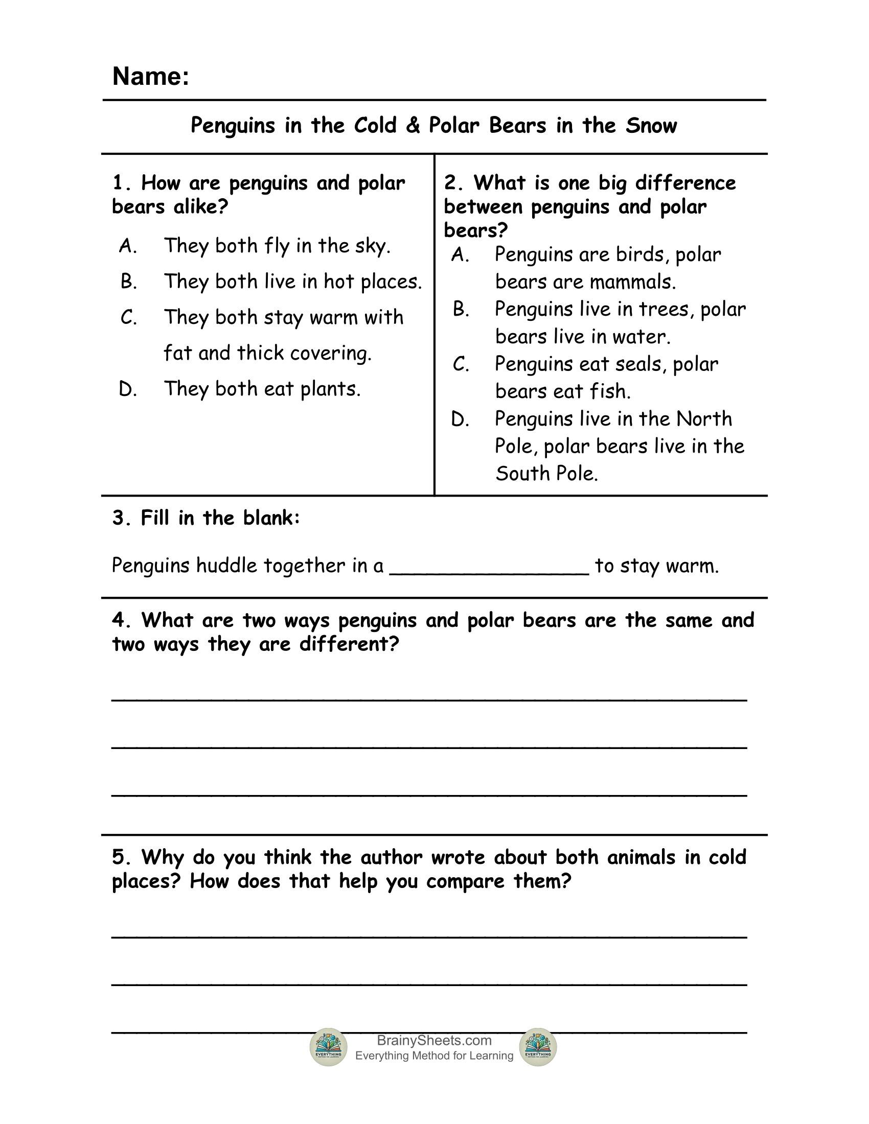 2nd Grade Nonfiction Reading Passages With Quizzes (printable PDF - Etsy