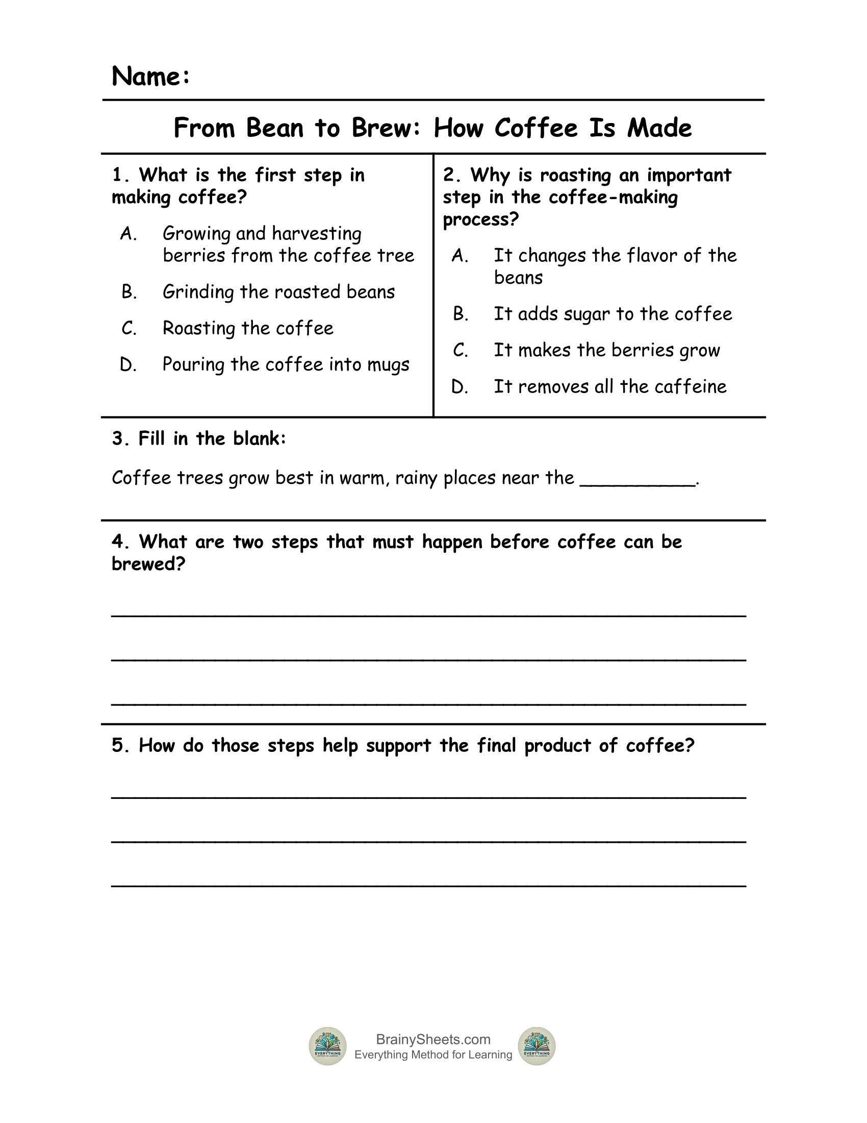 3rd Grade Nonfiction Reading Passages With Quizzes (printable PDF - Etsy