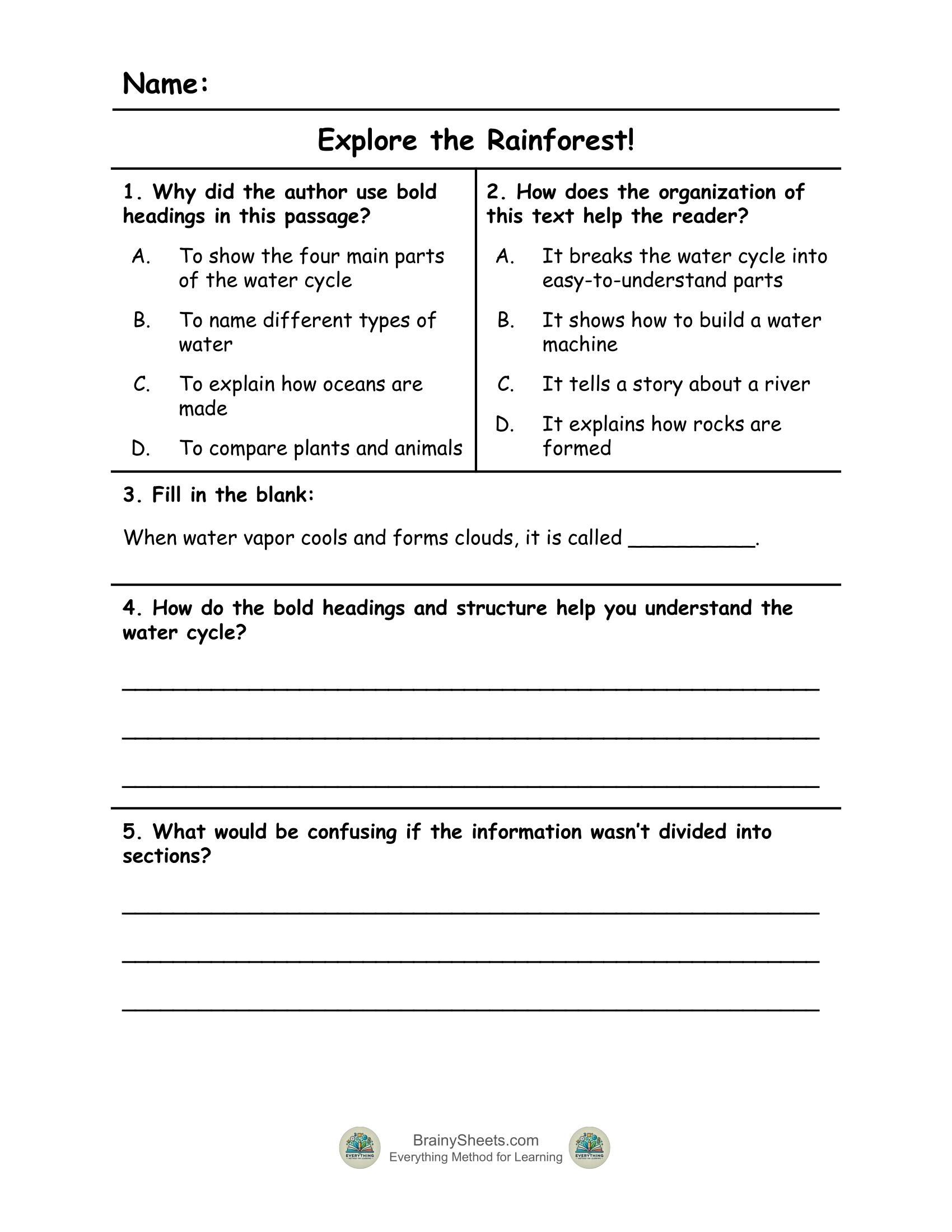 3rd Grade Nonfiction Reading Passages With Quizzes (printable PDF - Etsy