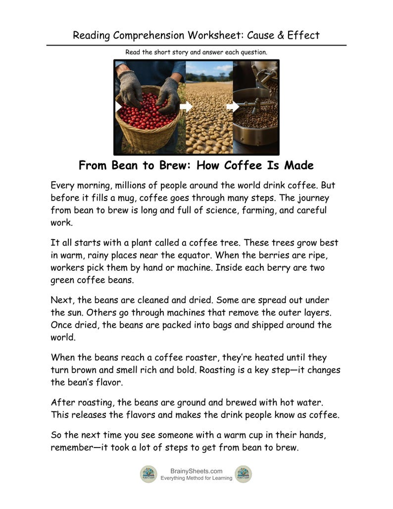 3rd Grade Nonfiction Reading Passages With Quizzes (printable PDF - Etsy