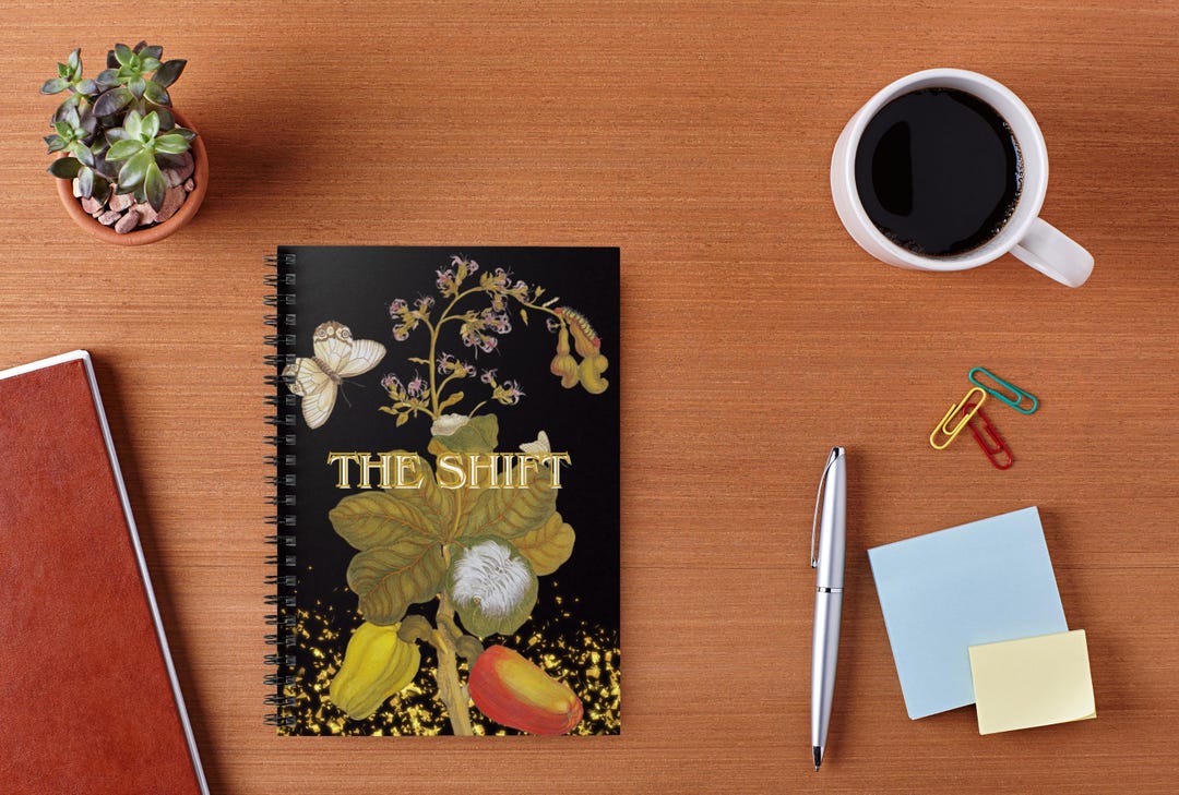 The Shift Journal Personal Growth Notebook, Mindfulness ...