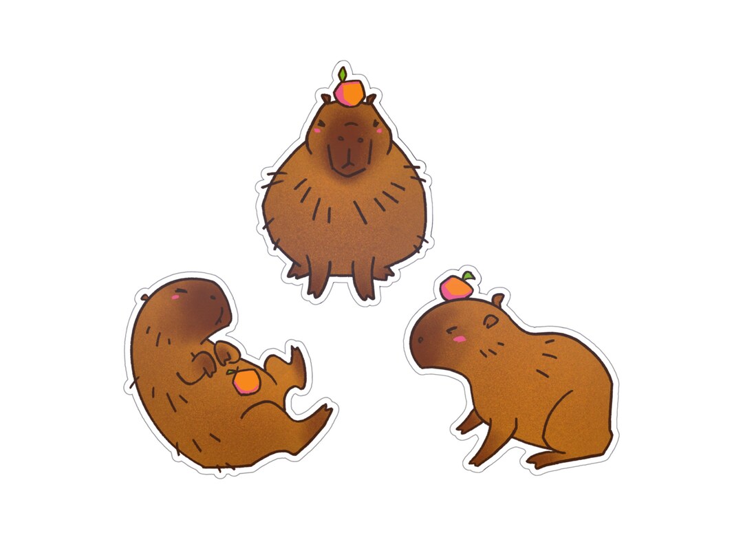 Capybara Sticker Pack, Wildlife Sticker, Cute Capybaras Stickers, Phone ...