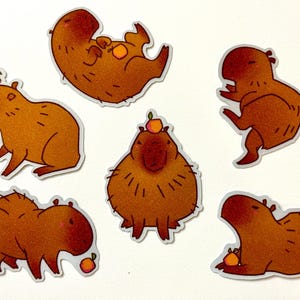 Capybara Sticker Pack, Wildlife Sticker, Cute Capybaras Stickers, Phone ...