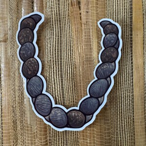 Lei Stickers/ Decals - Etsy