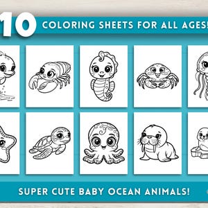 Cute Baby Ocean Animals Coloring Pages for Kids Toddlers Preschoolers ...