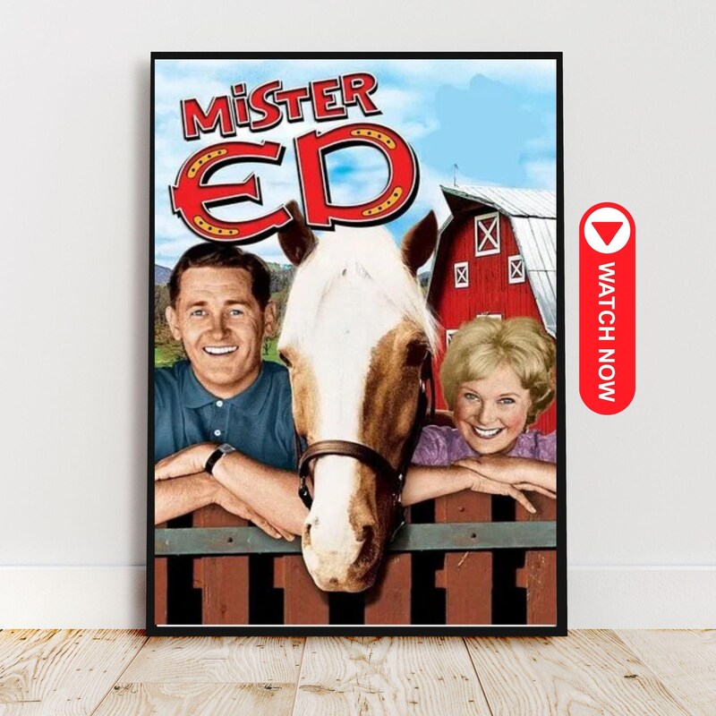 Mr Ed - Etsy