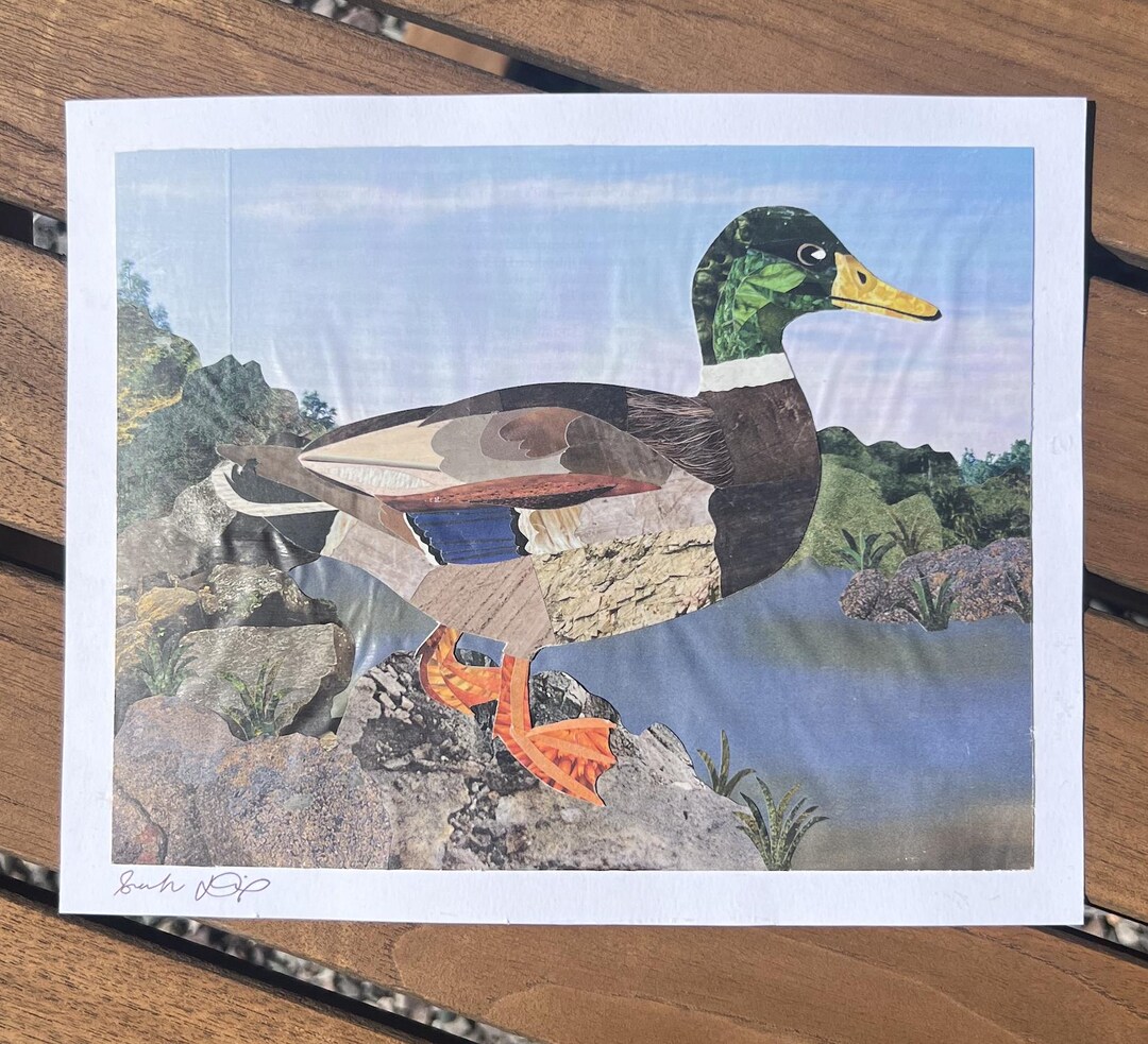 ORIGINAL Magazine Paper Collage Original Art - Duck and Water. Colorful ...