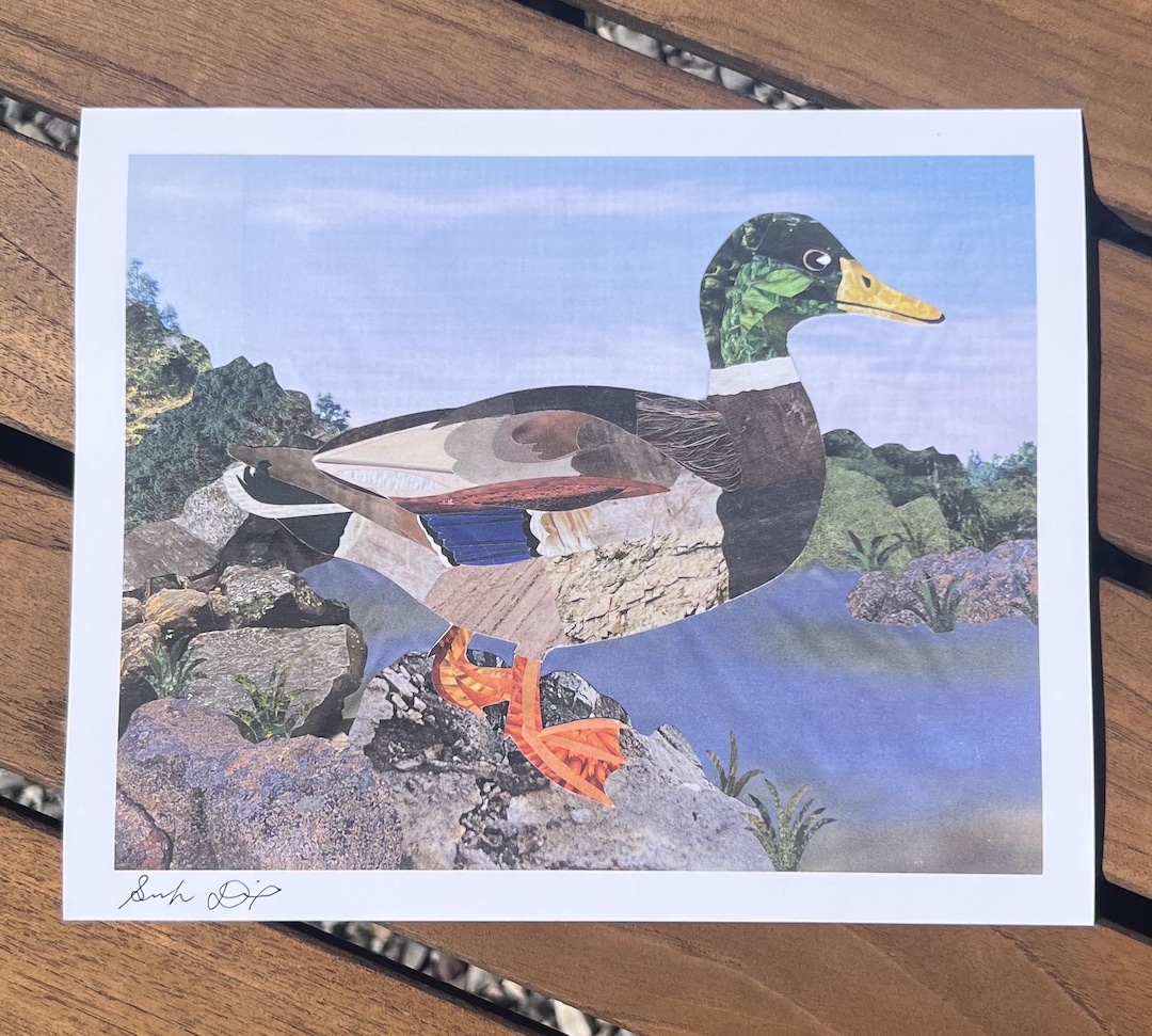 Magazine Paper Collage Original Art Print - Duck and Water. Colorful ...