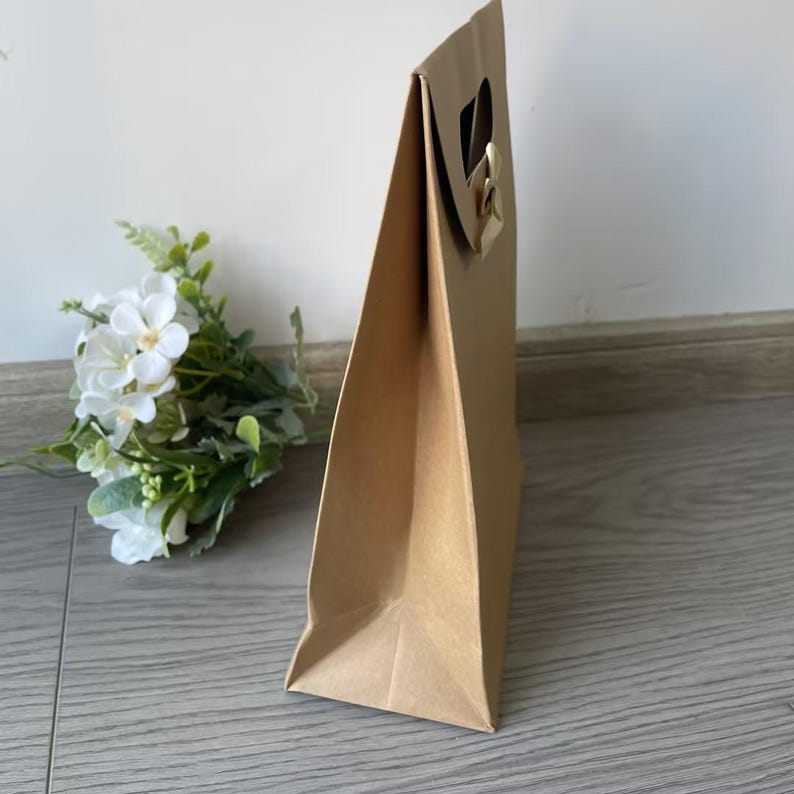 Ribbon Tie Kraft Paper Gift Bags, Appreciation Eco Packaging, Birthday ...