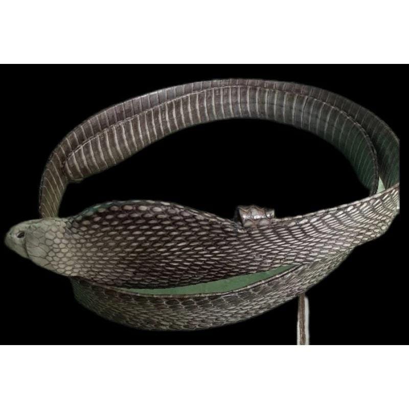 Real Snake Skin - Etsy