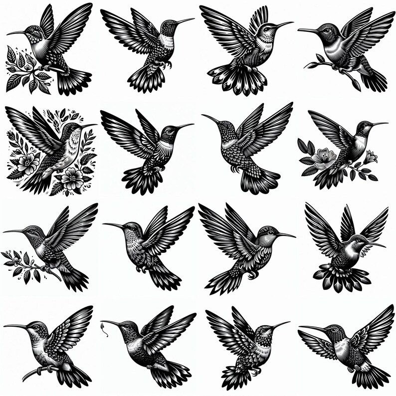 100 Hummingbird SVG PNG Bundle | Vintage Engraving Bird Illustration ...