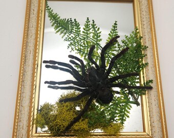 Realistic Tarantula Spider, Poseable Shelf Decor, Wall Mountable Faux ...
