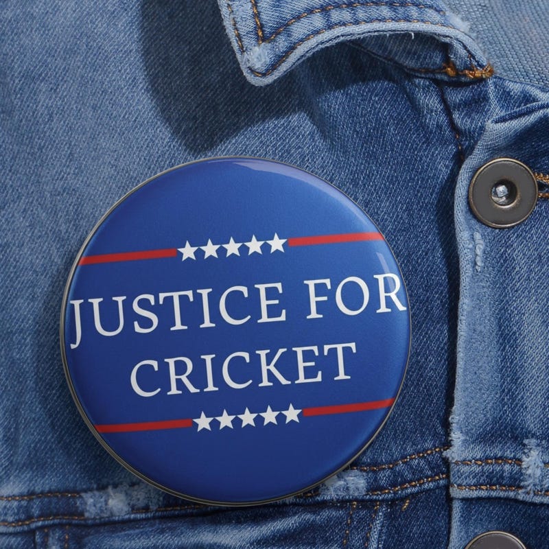 Backpack Pins - Etsy