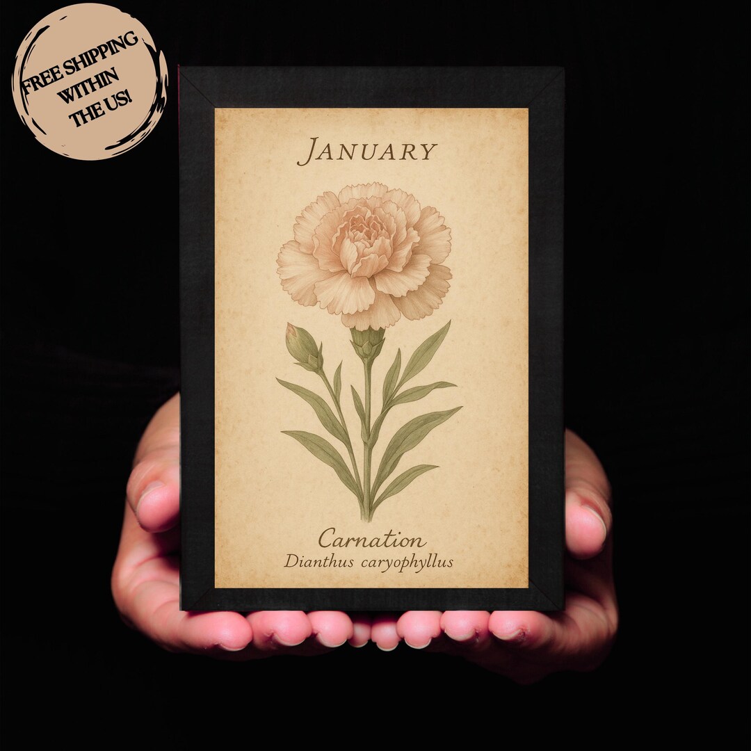 January Birth Flower Carnation Art Print | Vintage Botanical Wall Art ...