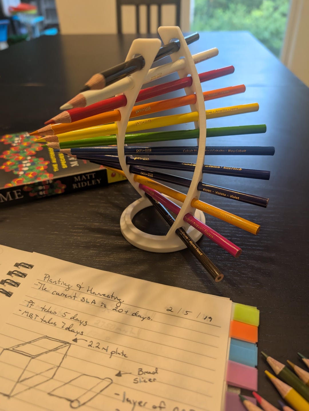 DNA Helix Pencil Holder - 3D Printed Spiral Desk Organizer - STEM ...