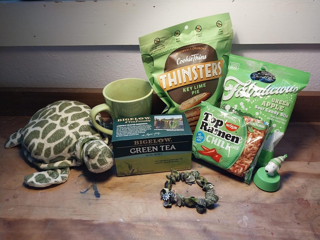 Cute Green Turtle Gift Box - Etsy