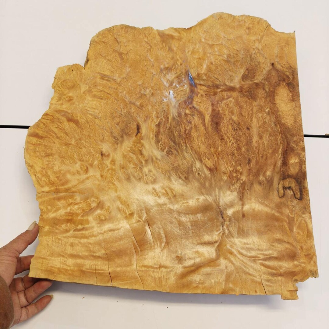 Crepe Myrtle Live Edge Slab Exotic Wood Epoxy Resin Table Top 20"x23"x2 ...