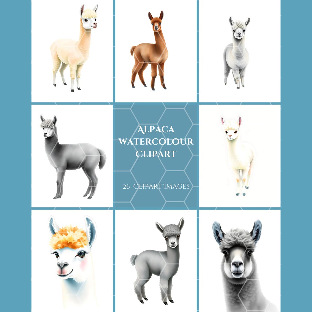 Cute Alpaca Watercolor Clipart, Farmyard Animal Images, Scrapbook and ...