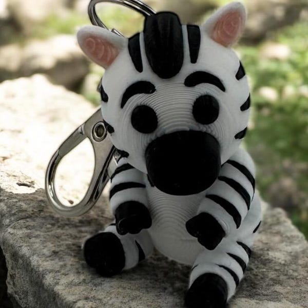 Zebra Jewelry - Etsy