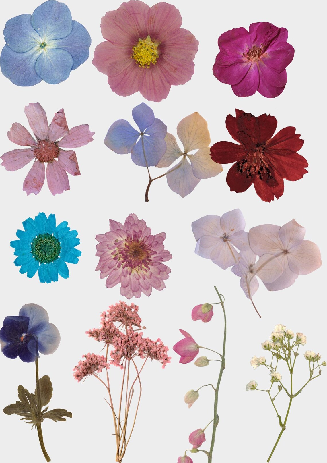 Digital Scrapbook Sticker Kit - Etsy