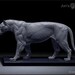 Tiger Anatomy Model 1/6th Scale Flesh & Superficial Muscle - Etsy