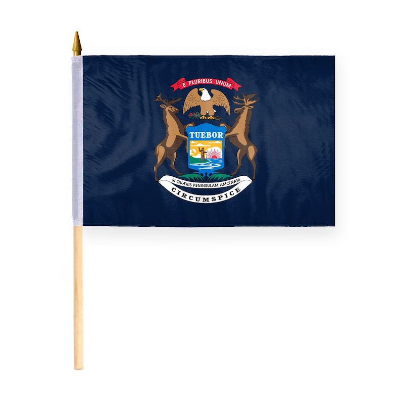 Michigan State Flag: Nylon With Brass Grommets - Multiple Sizes - Etsy