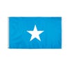 Antarctica True South Flag 3x5 - Etsy Canada