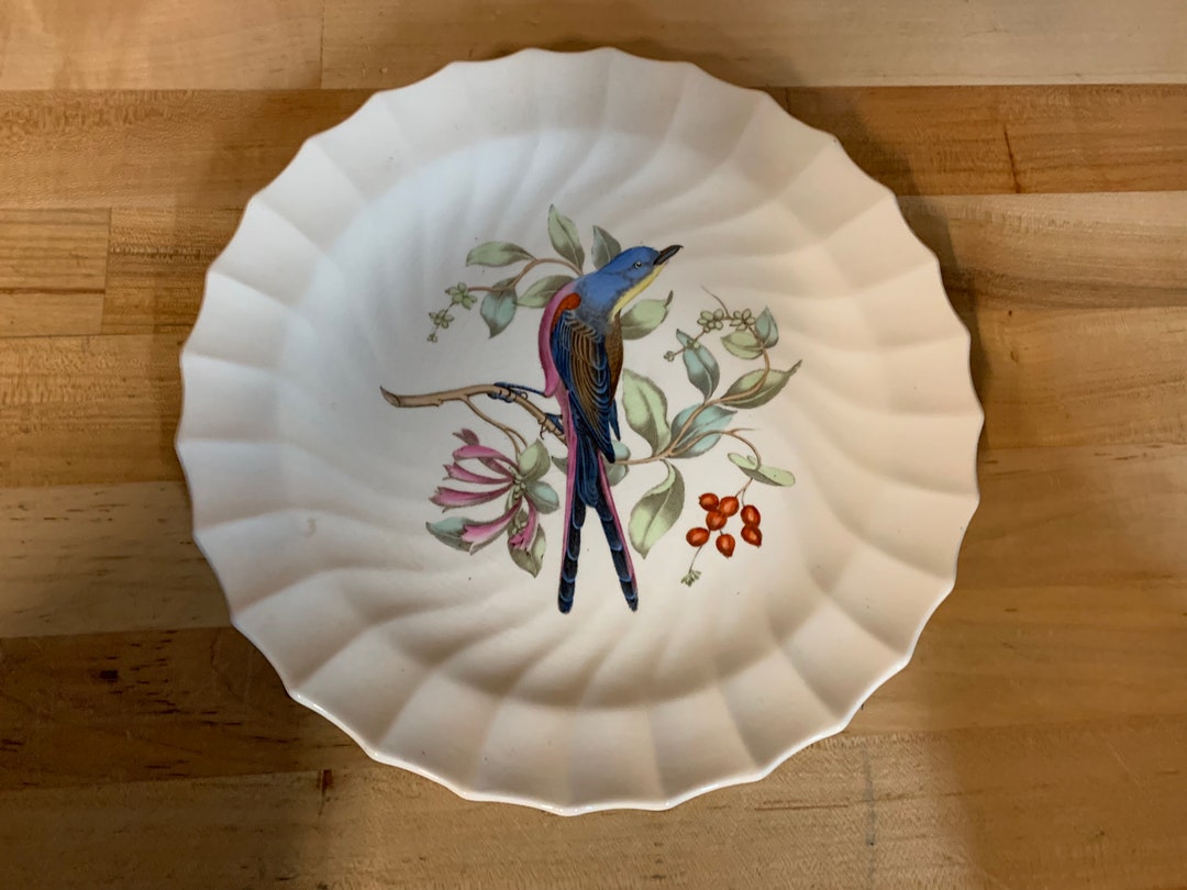 Copeland Spode England Scissor-tailed Flycatcher Bird Collectible Plate ...