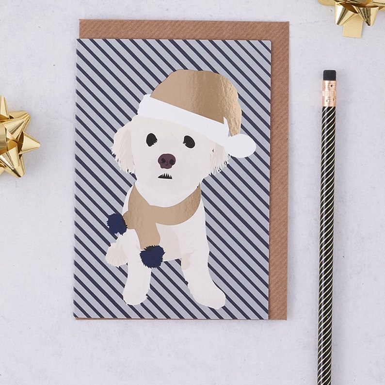 Alfie the Bichon Frise Christmas Card With His Santa Hat and Scarf in ...