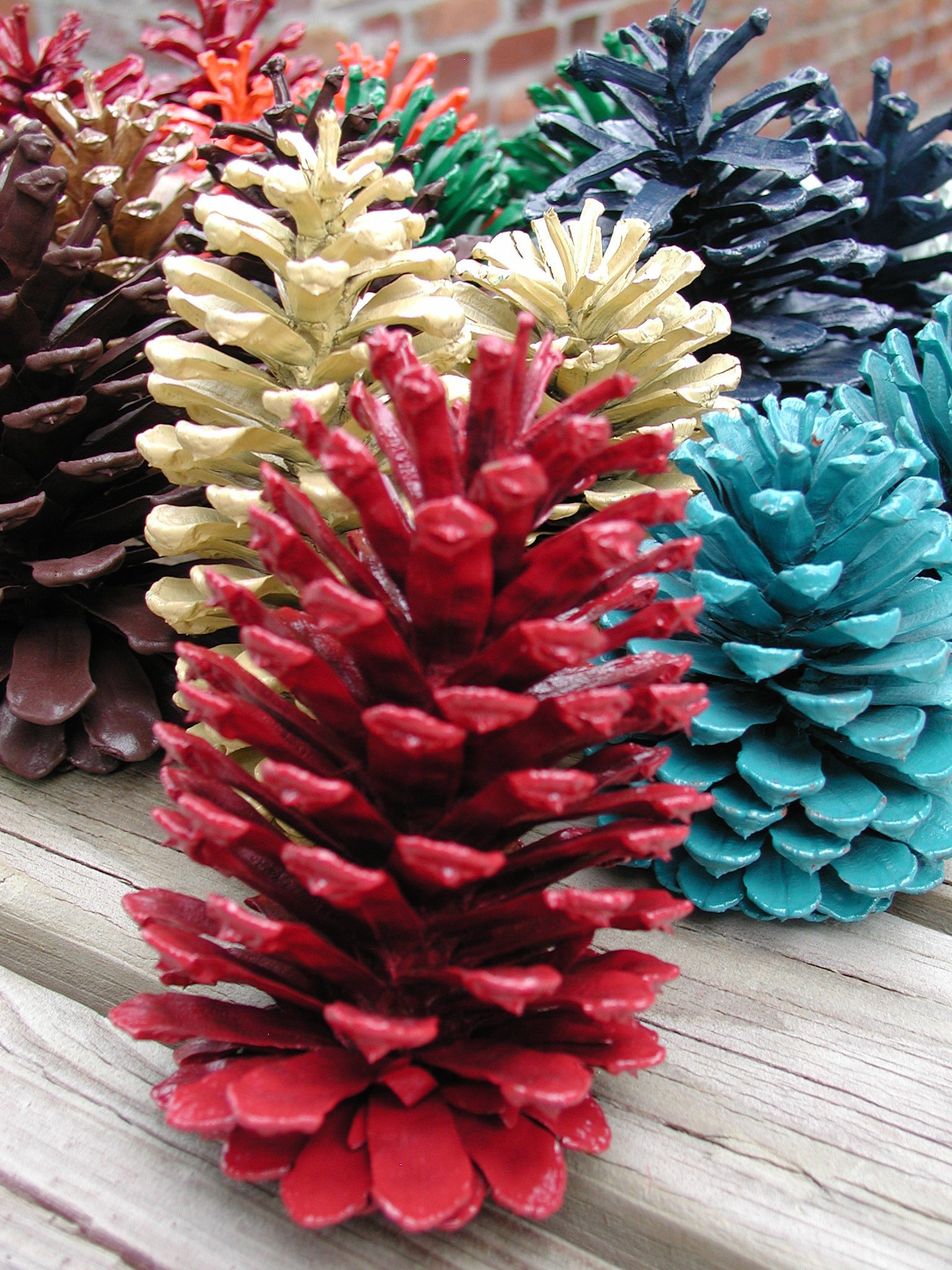 Painted Pinecones From Florida, Home Decor Cones, Holiday Pinecones ...