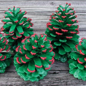 Painted Pinecones From Florida, Home Decor Cones, Holiday Pinecones ...