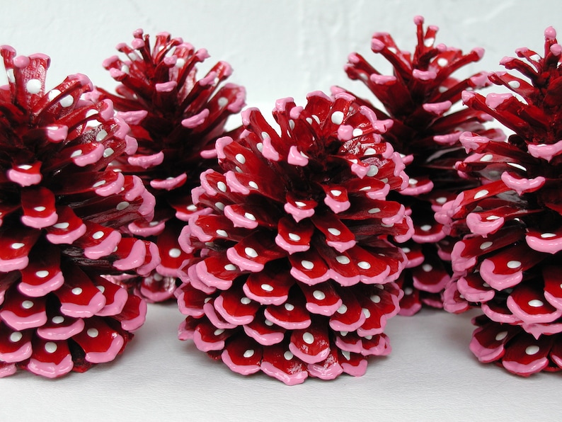 Painted Pinecones From Florida, Home Decor Cones, Holiday Pinecones ...