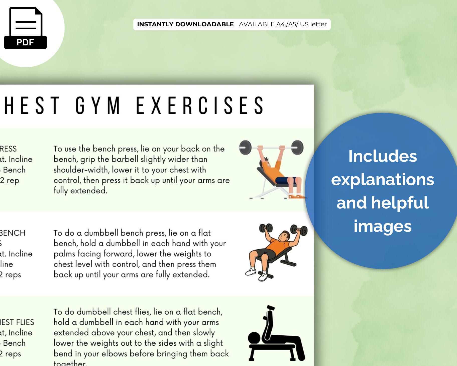 Gym Workout Guide Printables | 5 Workout Exercise Charts for Each ...