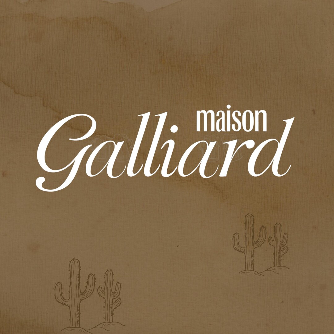 Maison Galliard Font, Curvy Font, Alpha, Silhouette Font, Handwritten ...