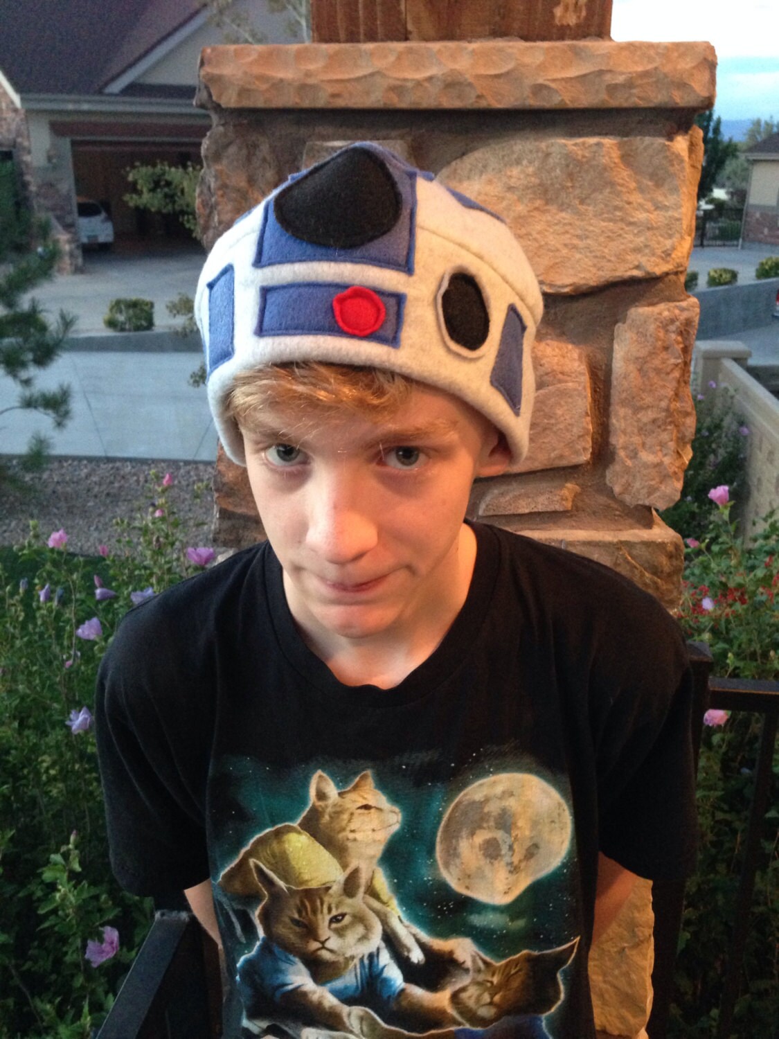 R2-D2 blue or Pink From Star Wars Inspired Fleece Hat - Etsy