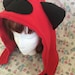 Team Magma From Pokémon Ruby, Sapphire, and Emerald Inspired Fleece Hat ...