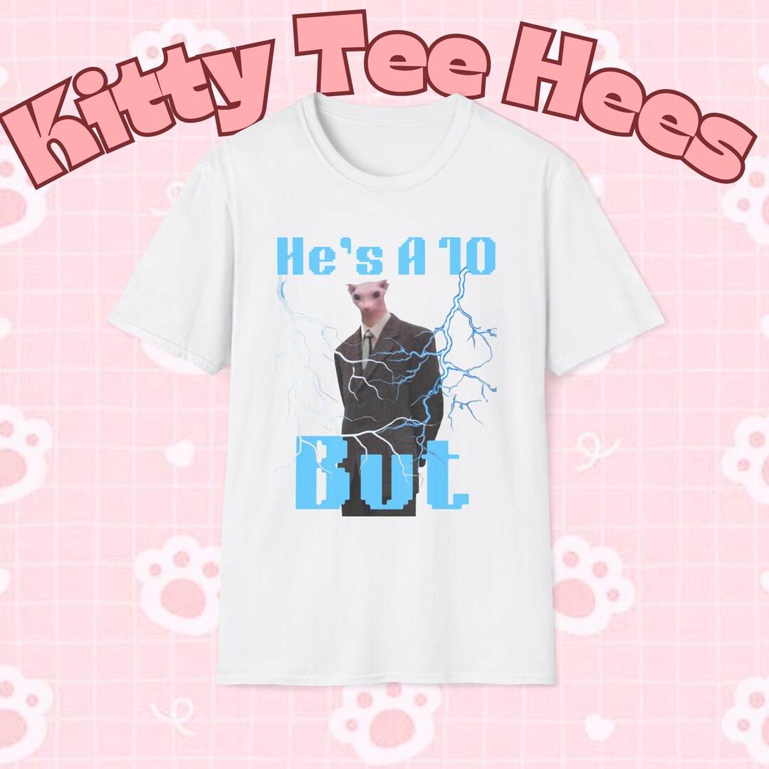 Bingus Hes A 10 Unisex Softstyle T-shirt - Funny Cat Lover Gift, Cute ...